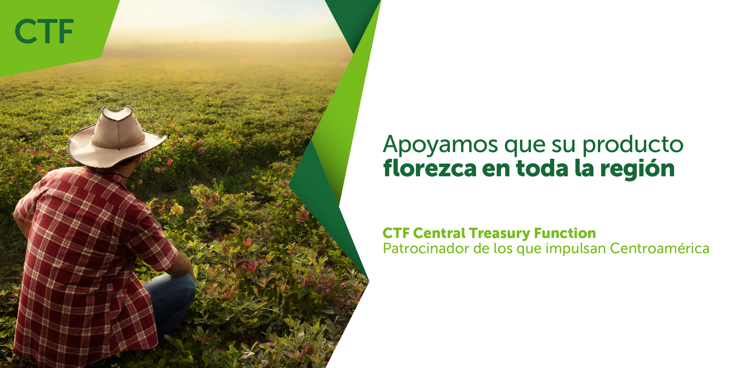 Central Treasury Function